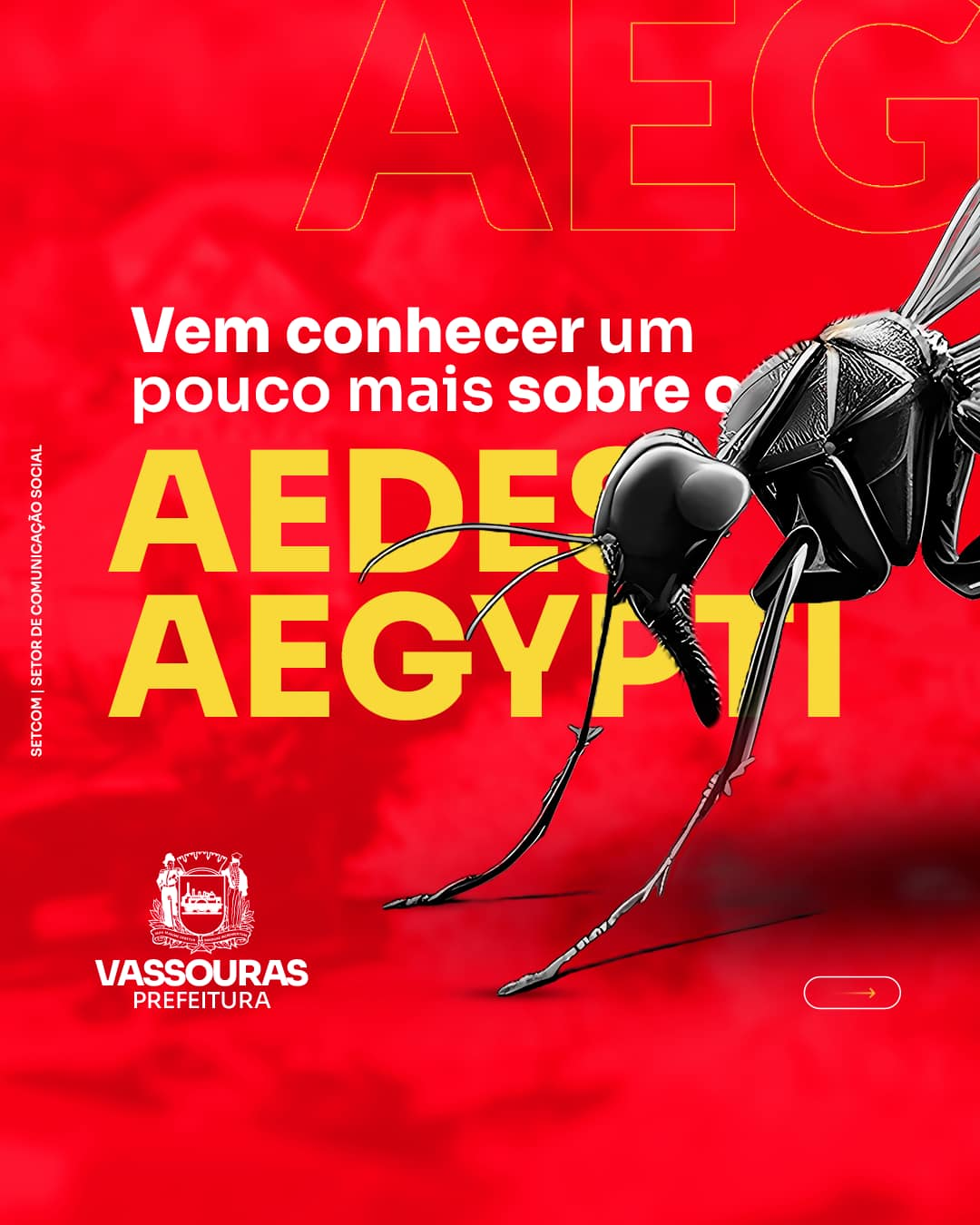 Combate ao Aedes aegypti – Prefeitura de Vassouras